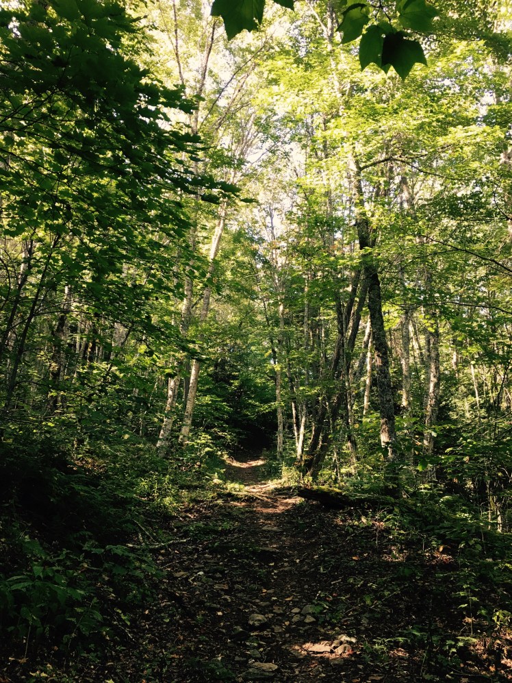 Celo Knob, Gibbs Mountain – sweetwilder