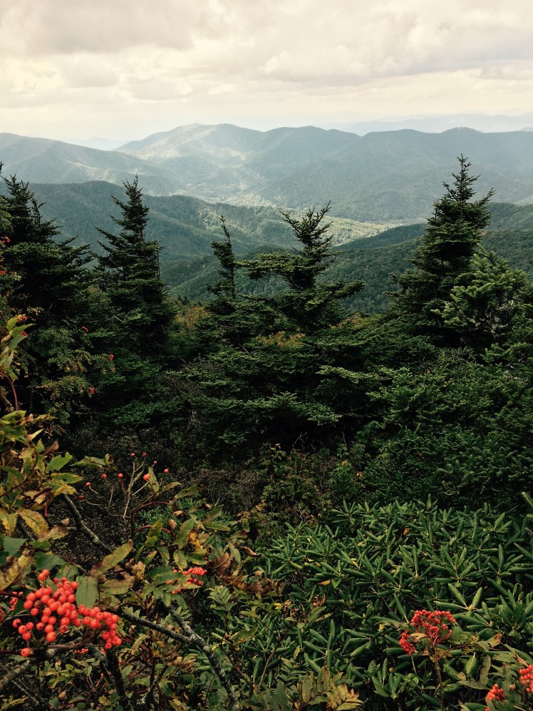 Celo Knob, Gibbs Mountain – sweetwilder