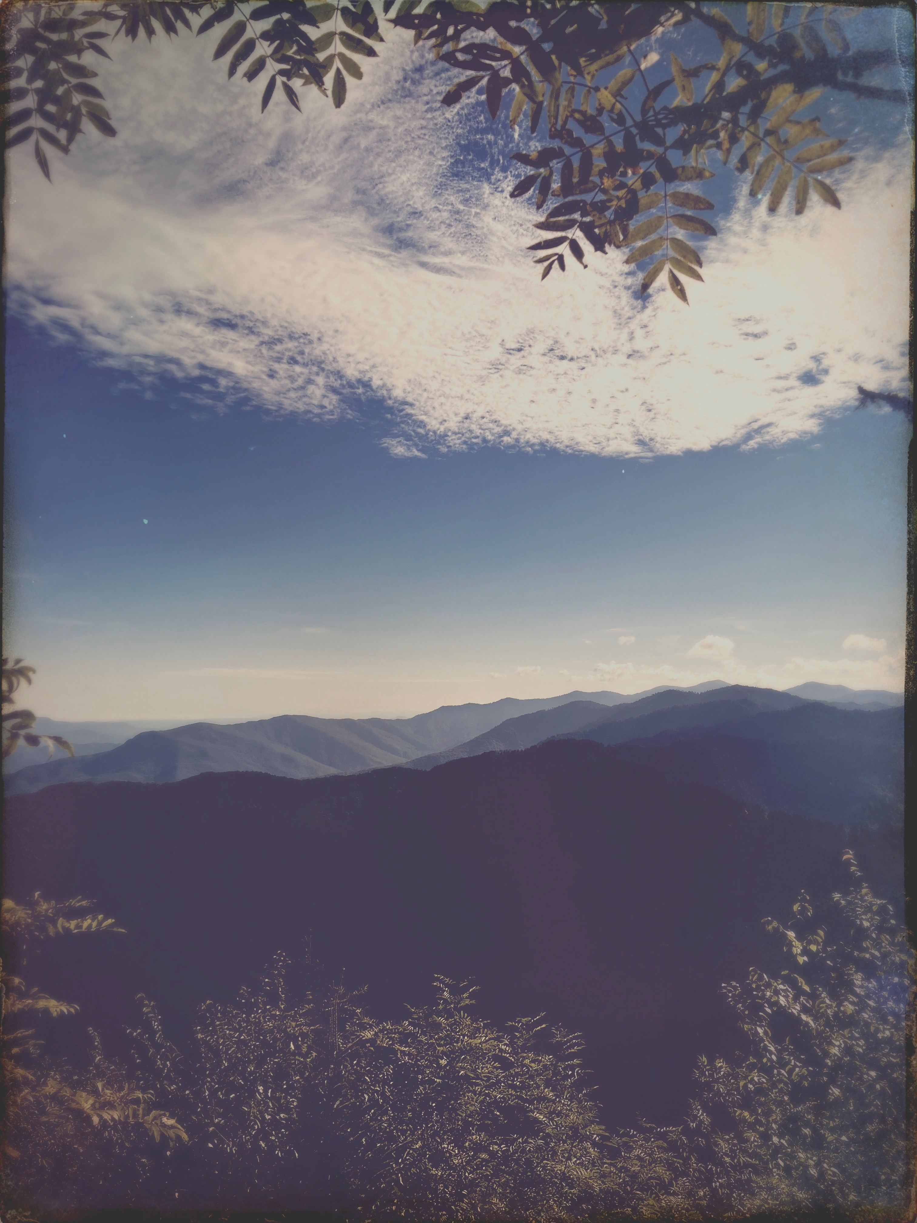 Boulevard Trail – sweetwilder